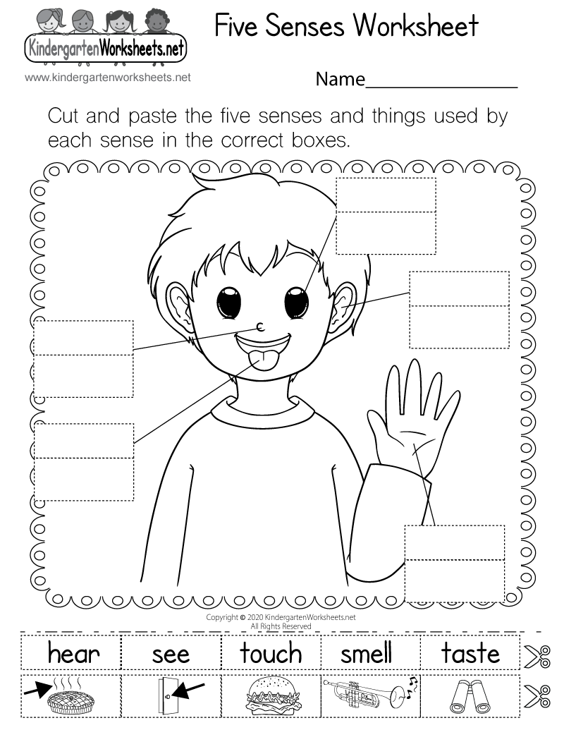 5 Senses Worksheets For Preschool Free Sample Example Format Templates 5-senses-worksheets-for-preschool-free-sample-example-format-templates
